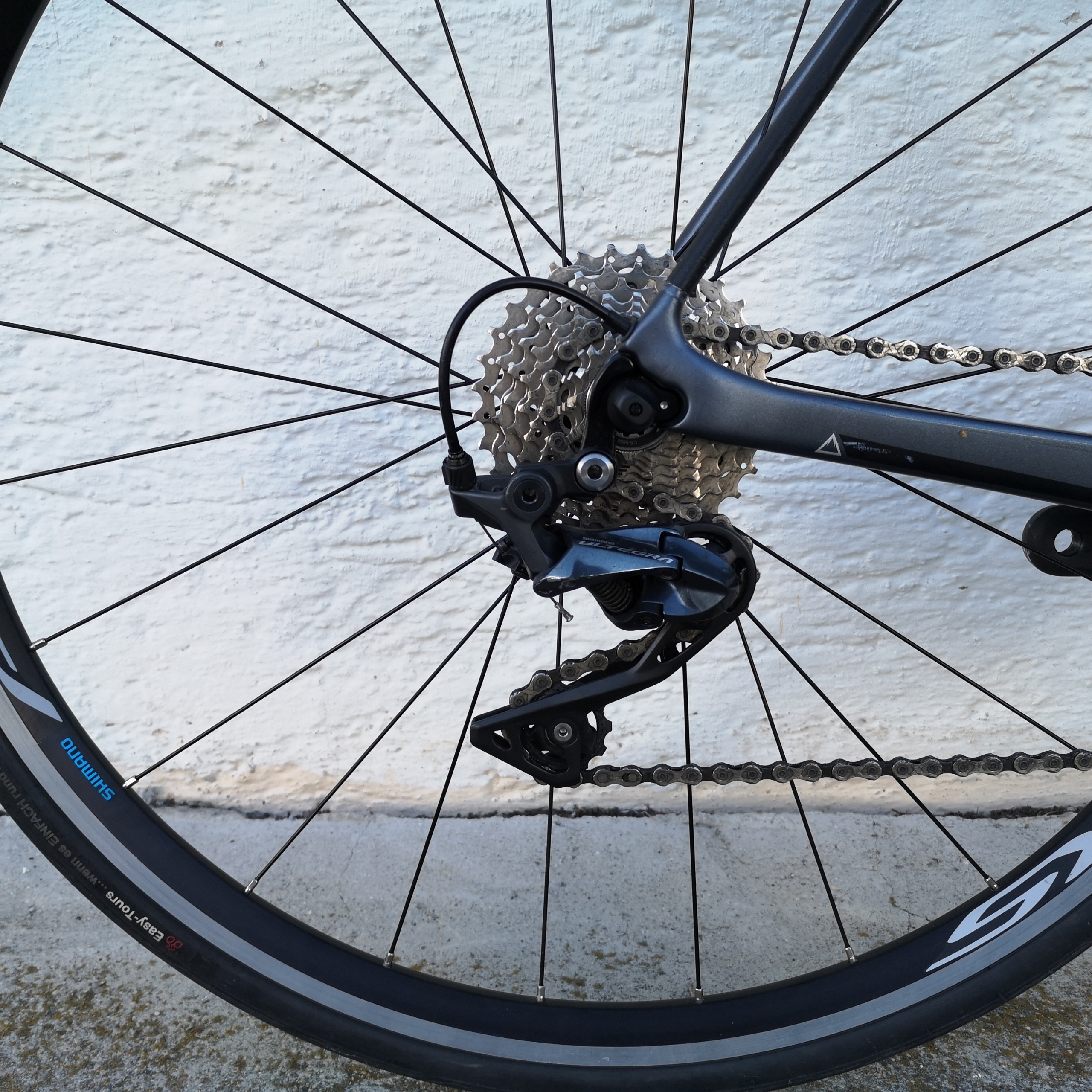 Fuji SL3.1 Carbon Rennrad Ultegra-Compact 11-fach Rahmenhöhe 56 ...